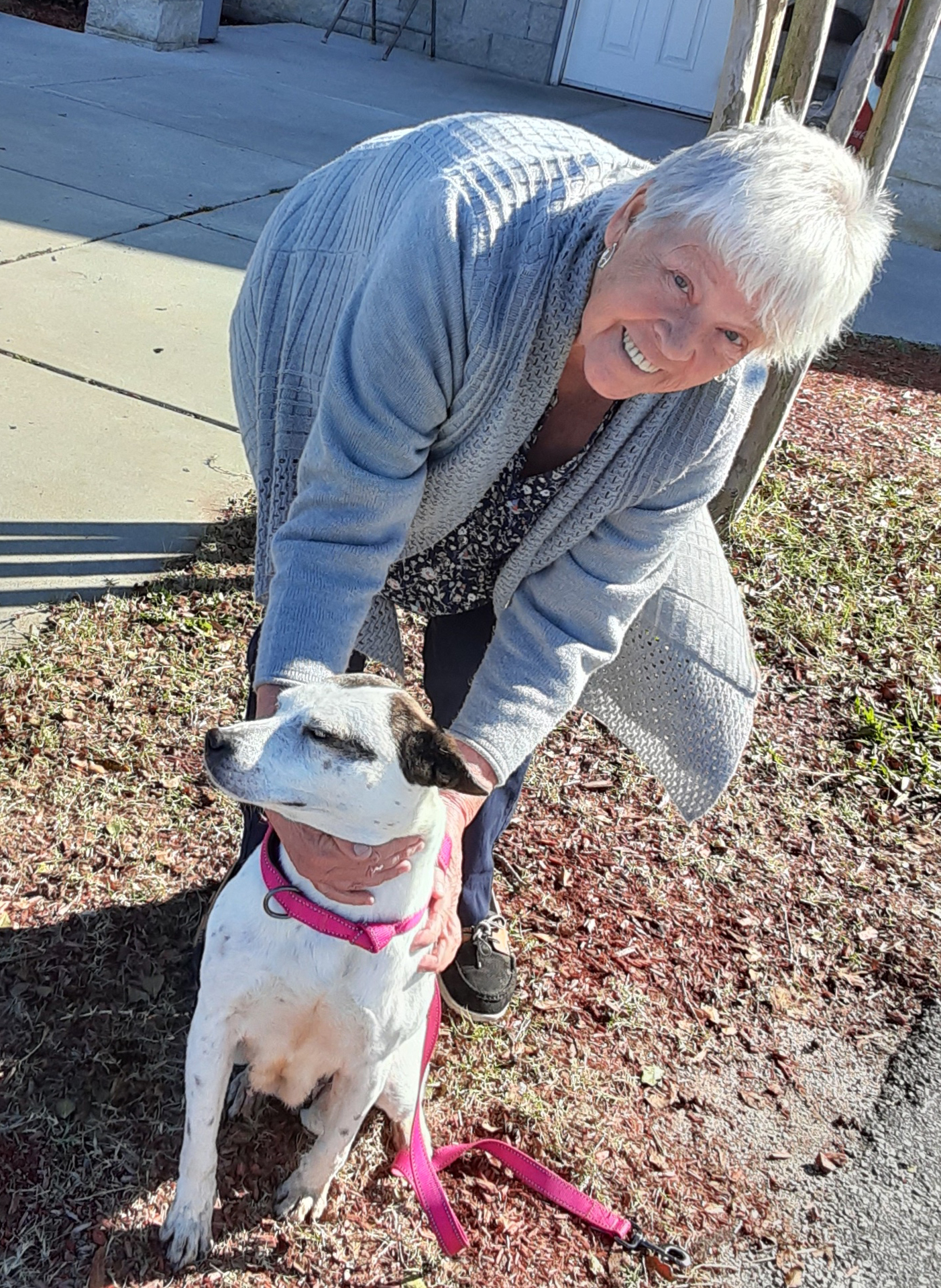 Animal Shelter Observing Heartworm Eradication Month – The Dillon Herald